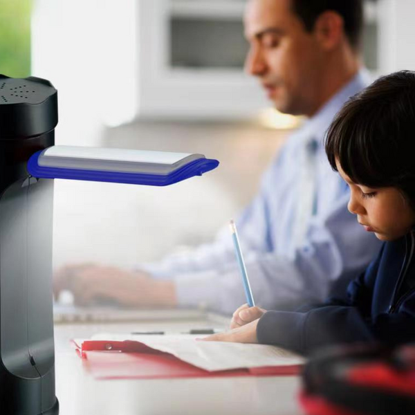 + Flashlights – Aiffel